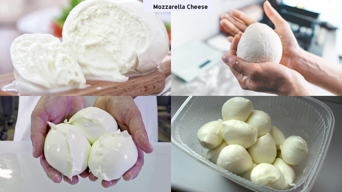 Mozzarella Cheese Nutrition: 8 Health Benefits and Types