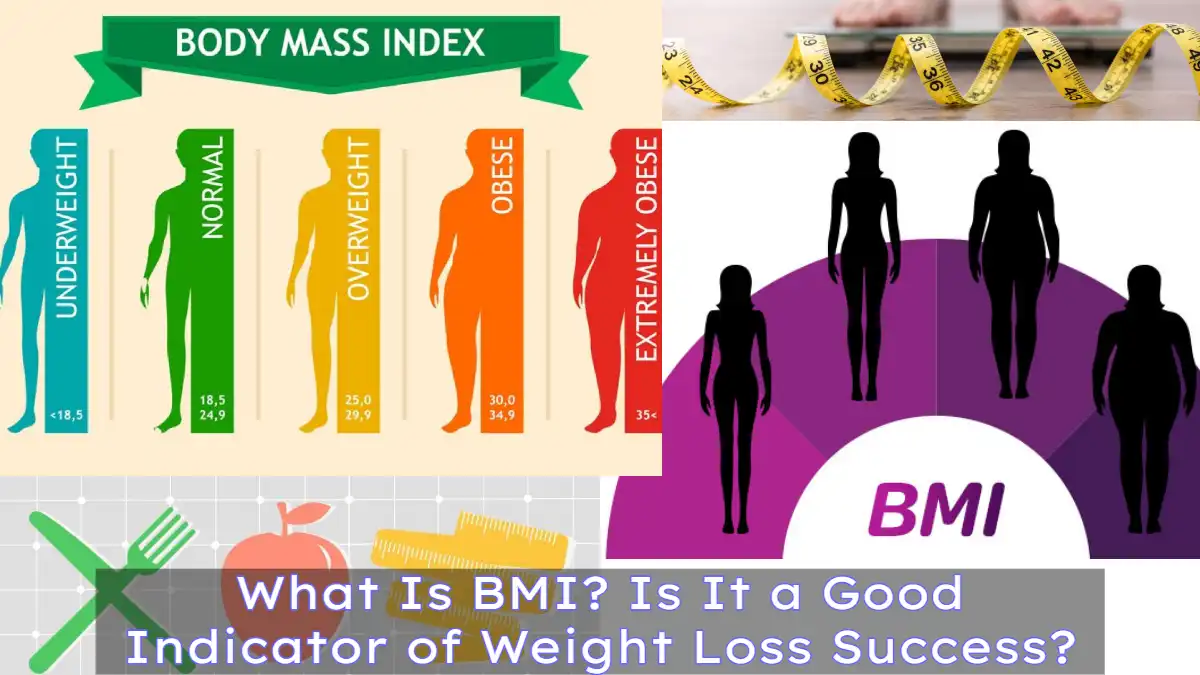What Is BMI? Is It a Good Indicator of Weight Loss Success?